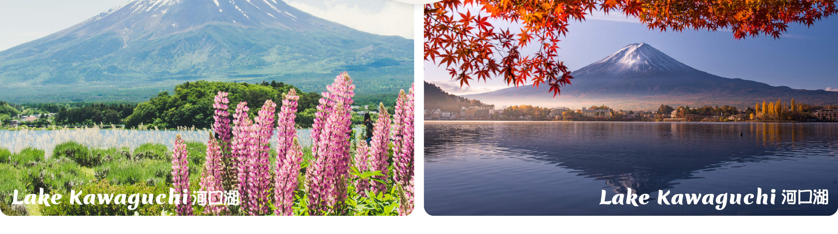 [Mt. Fuji & Hakone] Fujisan Yumeno Ohashi, Owakudani, Oshino Hakkai ...