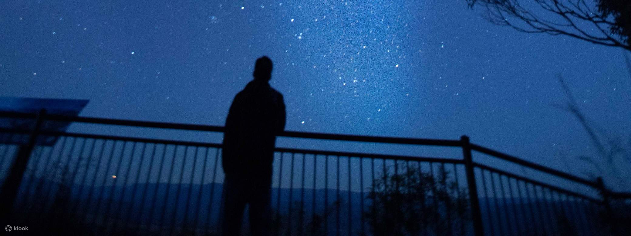 Starry Night Blue Mountains and Sydney Zoo Day Tour - Klook