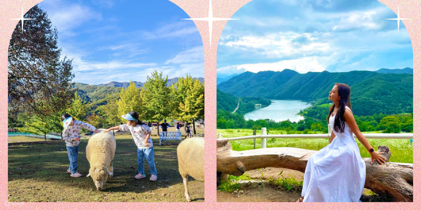 Eden Cherry Blossom Road x AQUAFIELD Jjimjilbang x Begonia Bird Park - Klook