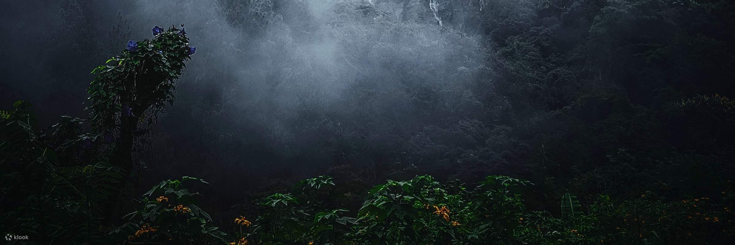 Discover the Beauty of Sri Lanka's Waterfalls: Bambarakanda Falls and ...