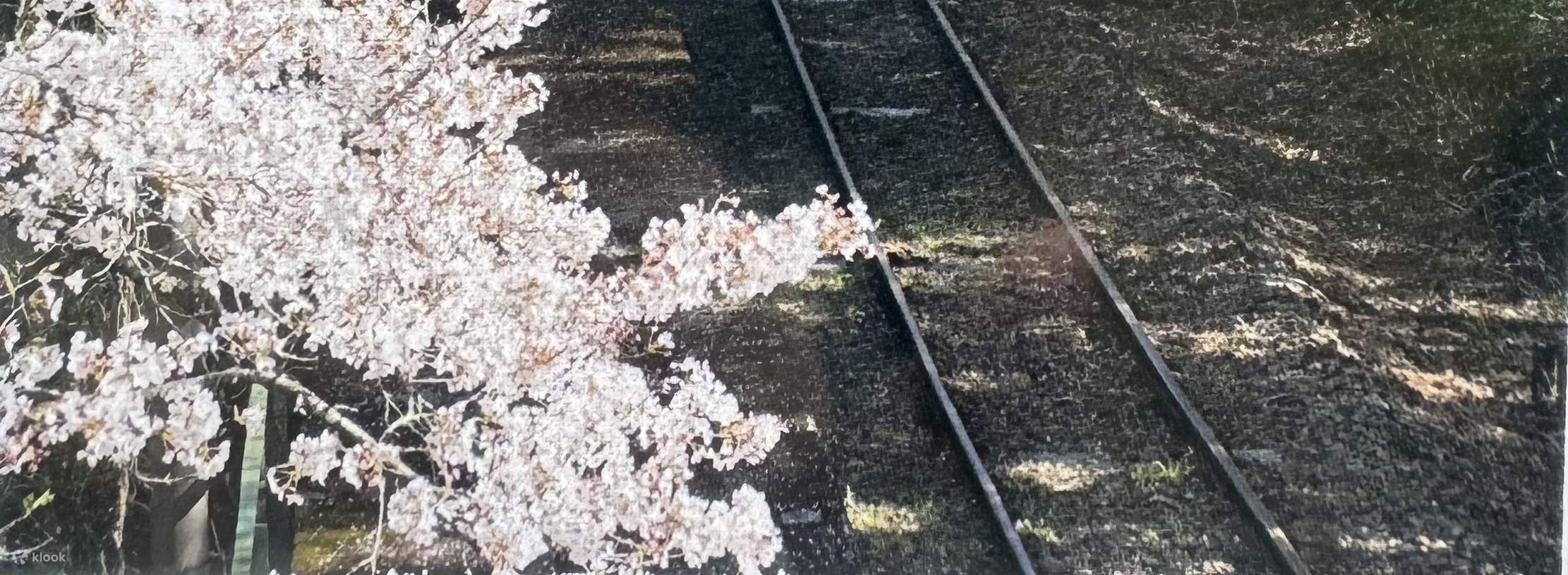 Kyushu｜Kumamoto Castle, Josaien, and Takachiho Gorge Day Tour (Depart ...