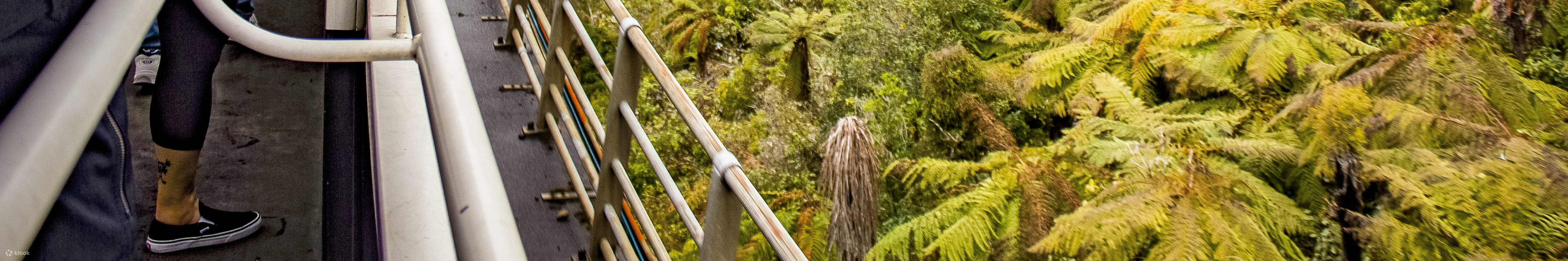 Northern Explorer Train Ticket between Auckland and Wellington - Klook ...