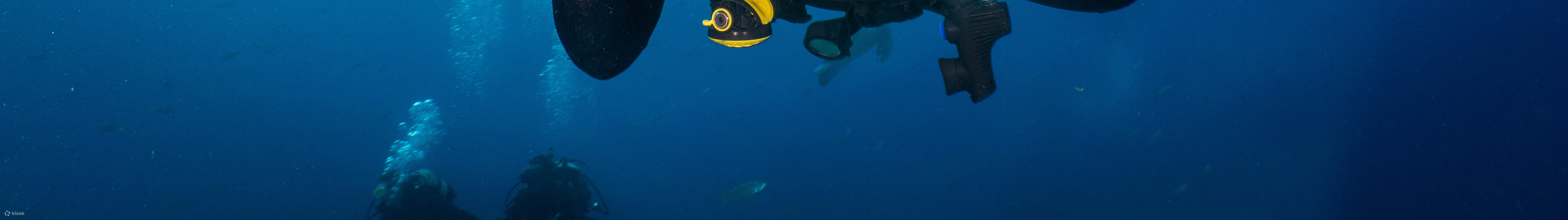 PADI Open Water Diver [eLearning] in Canary Islands with PADI 5 Star ...