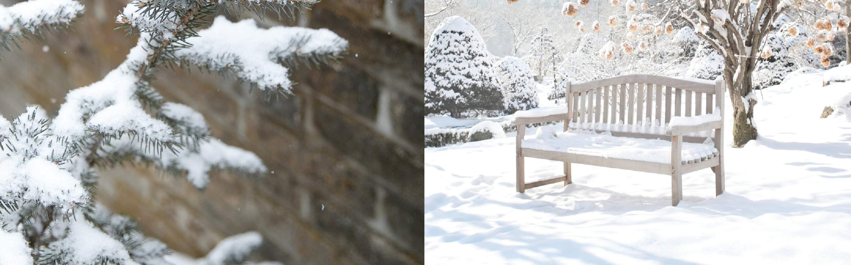 Nami Island & Eobi Ice Valley & Panorama Field & Morning Calm Tour - Klook