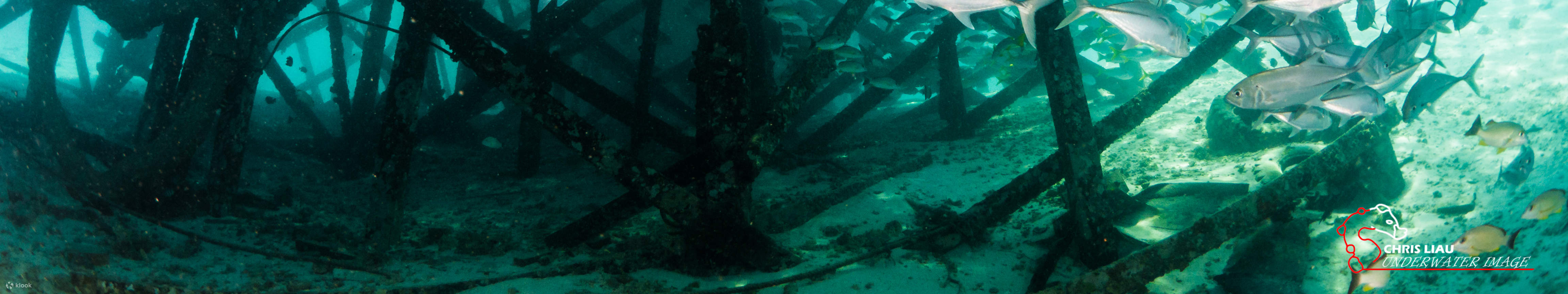 Explore Borneo's Depths: Semporna Fun Dive Trip with PADI 5 Star Dive ...