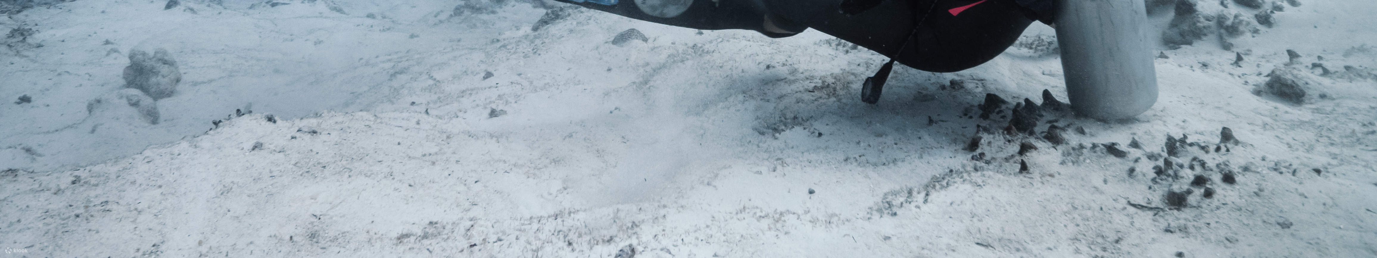 Embark on an Unforgettable Full-Day Dive Trip in Fuvahmulah Atoll with ...