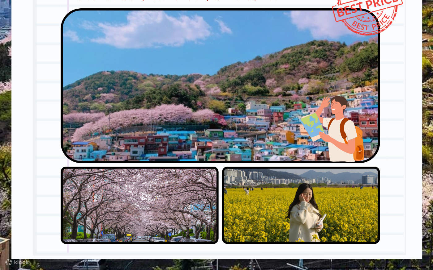 Busan City Cherry Blossom Tour with Top Attractions - Klook Singapore