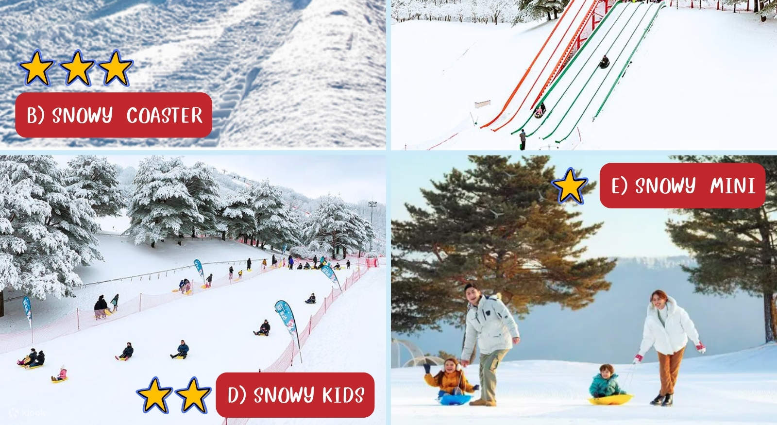 Vivaldi Snowyland & Nami & Alpaca & Strawberry Day Tour from Seoul ...