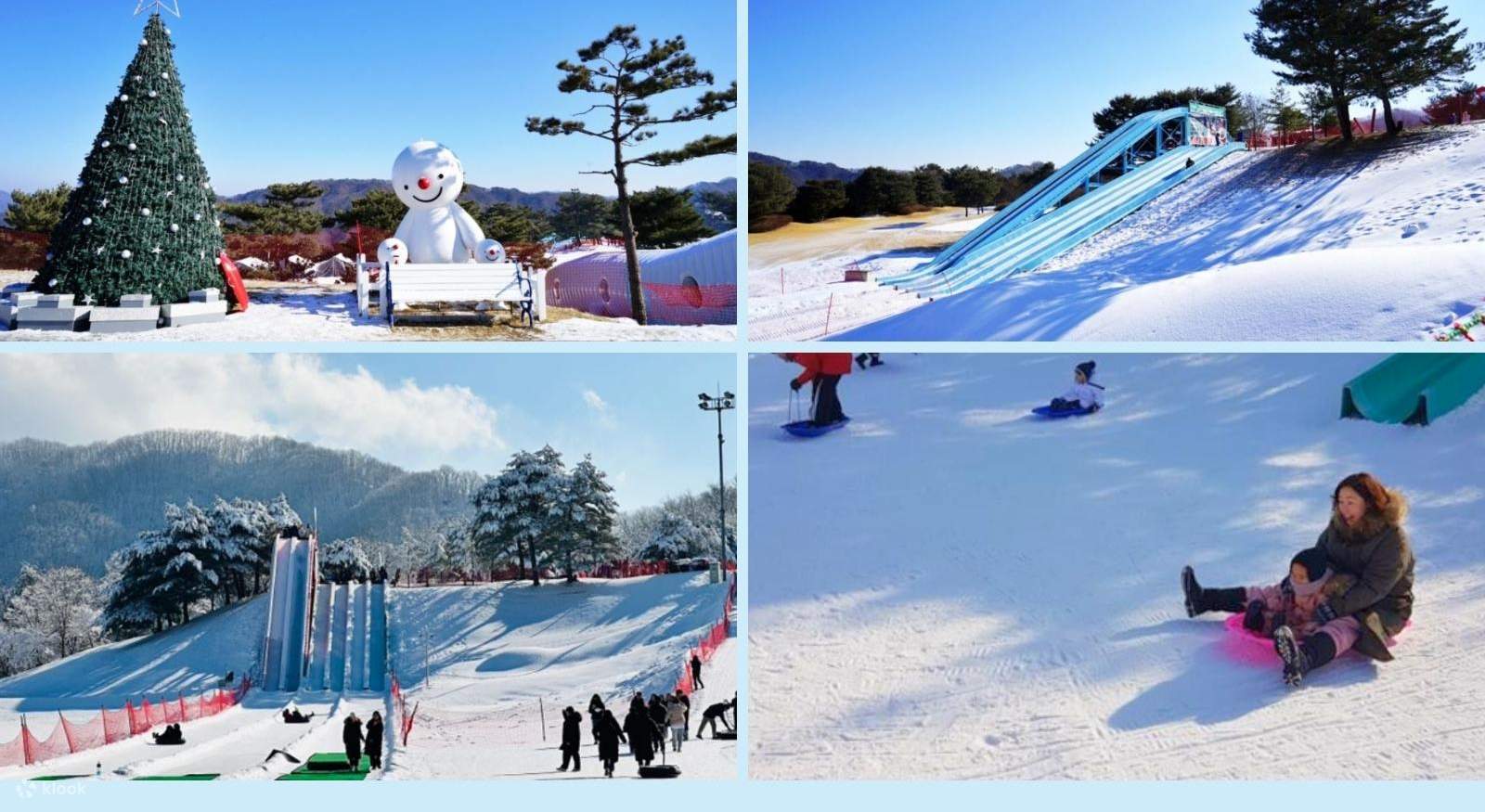 Vivaldi Snowyland & Nami & Alpaca & Strawberry Day Tour from Seoul ...