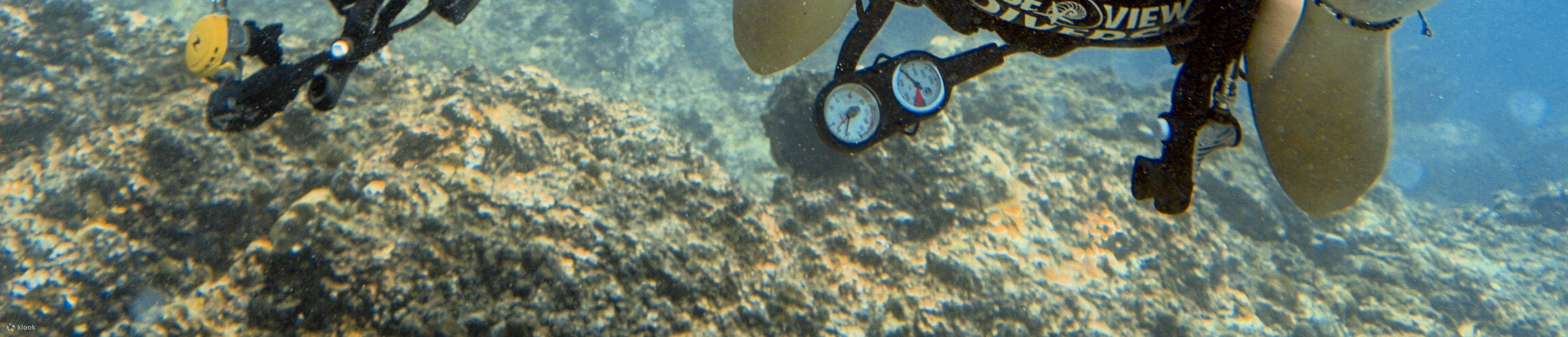 Experience Scuba Diving with Pool Training at a PADI 5 Star Dive Resort ...