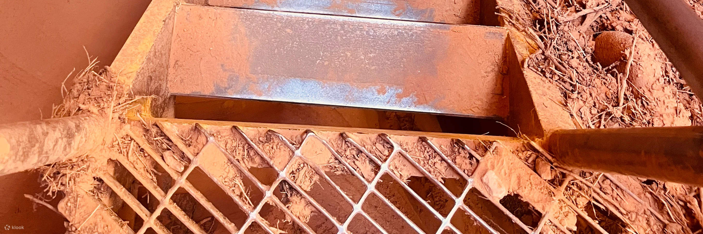 Antelope Canyon and Horseshoe Bend Join In Day Tour from Phoenix ...