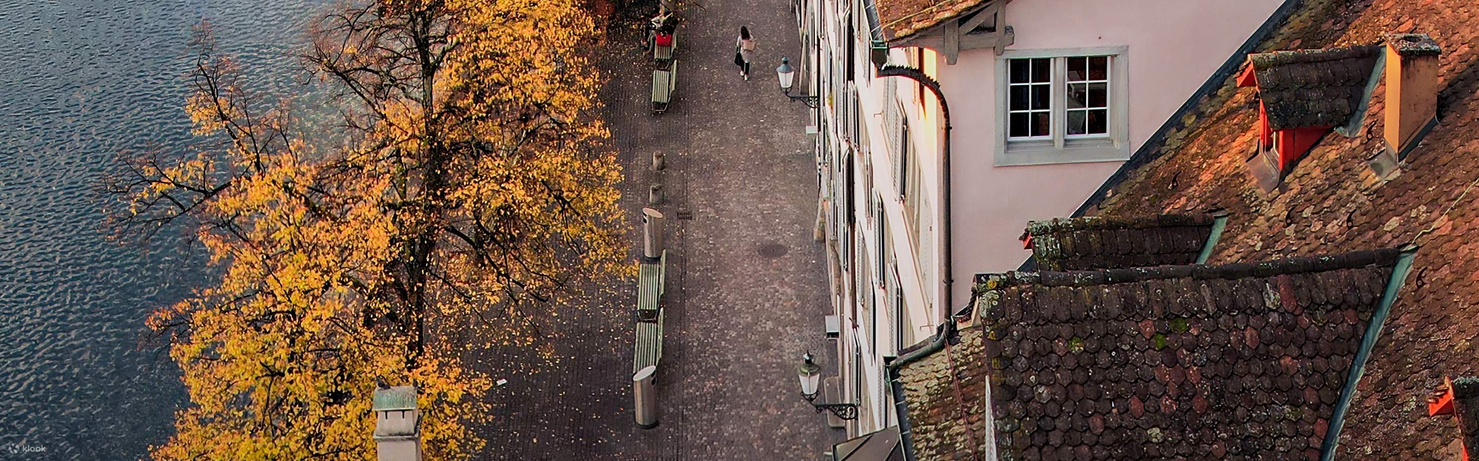 Zurich Card for Unlimited Travel and Discounted Activities - Klook