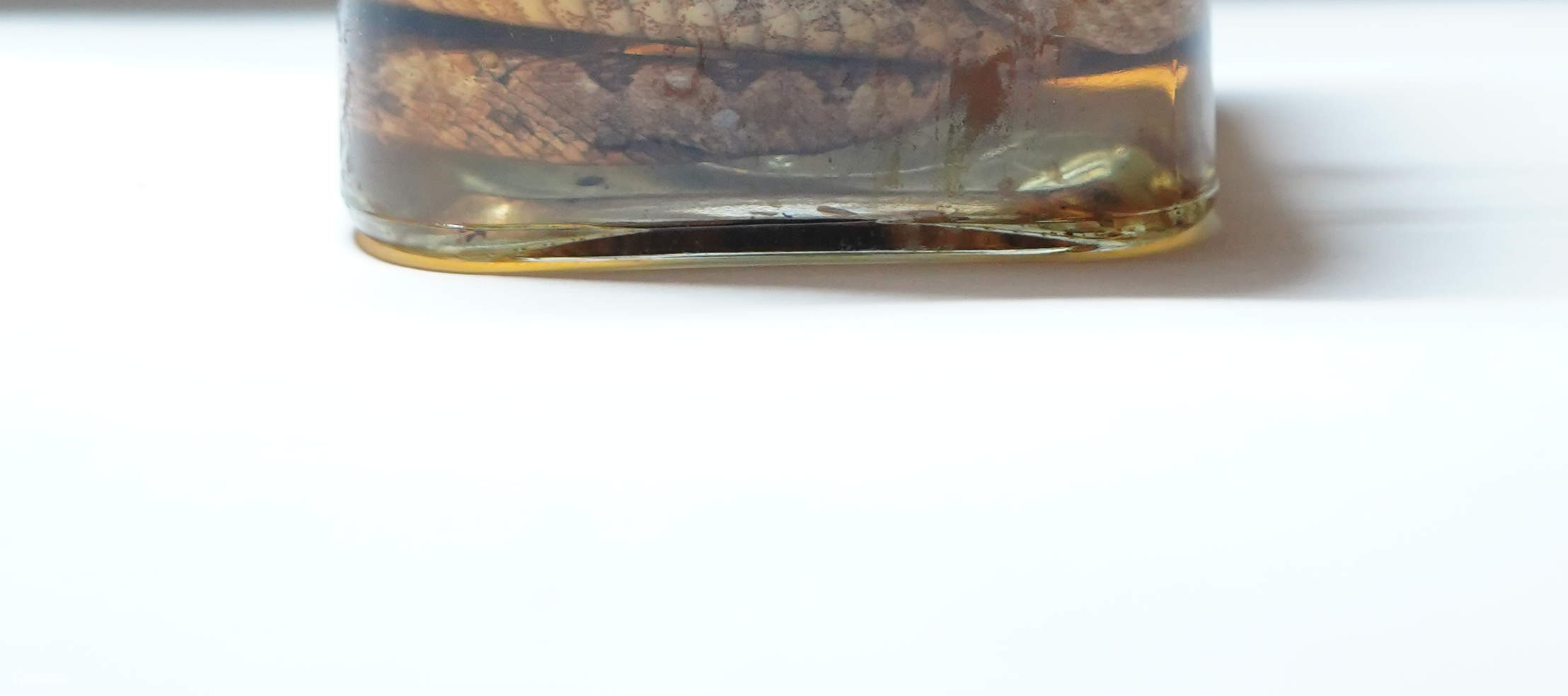 NEO SHINJYUKU ATSUSHI - Themed Restaurant in Tokyo, Shinjuku - Klook ...