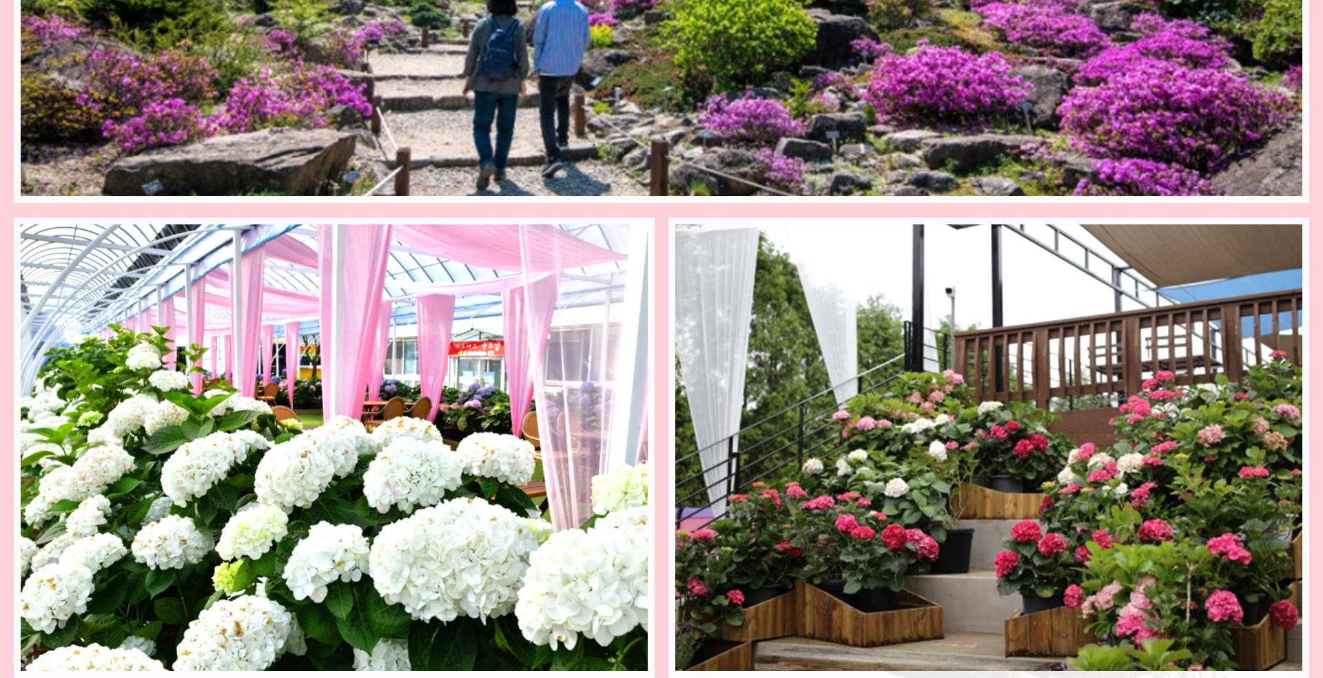 Romantic Winter Festival Tour from Seoul - Klook Singapore