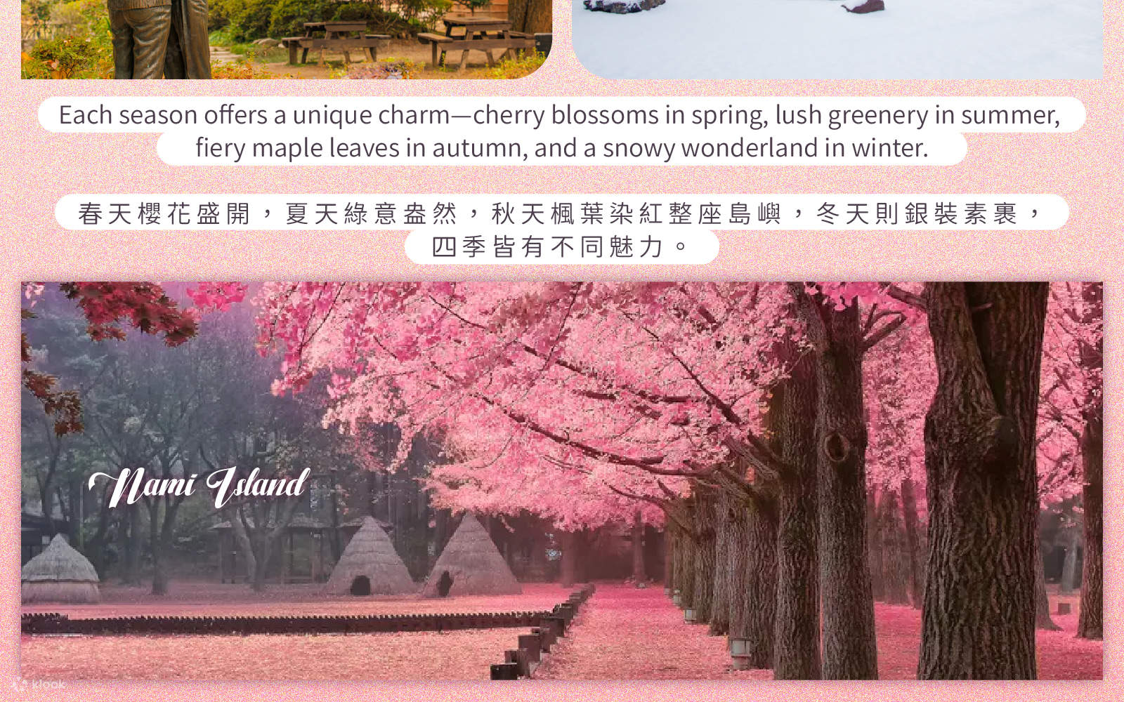 Eden Cherry Blossom Road x AQUAFIELD Jjimjilbang x Begonia Bird Park - Klook