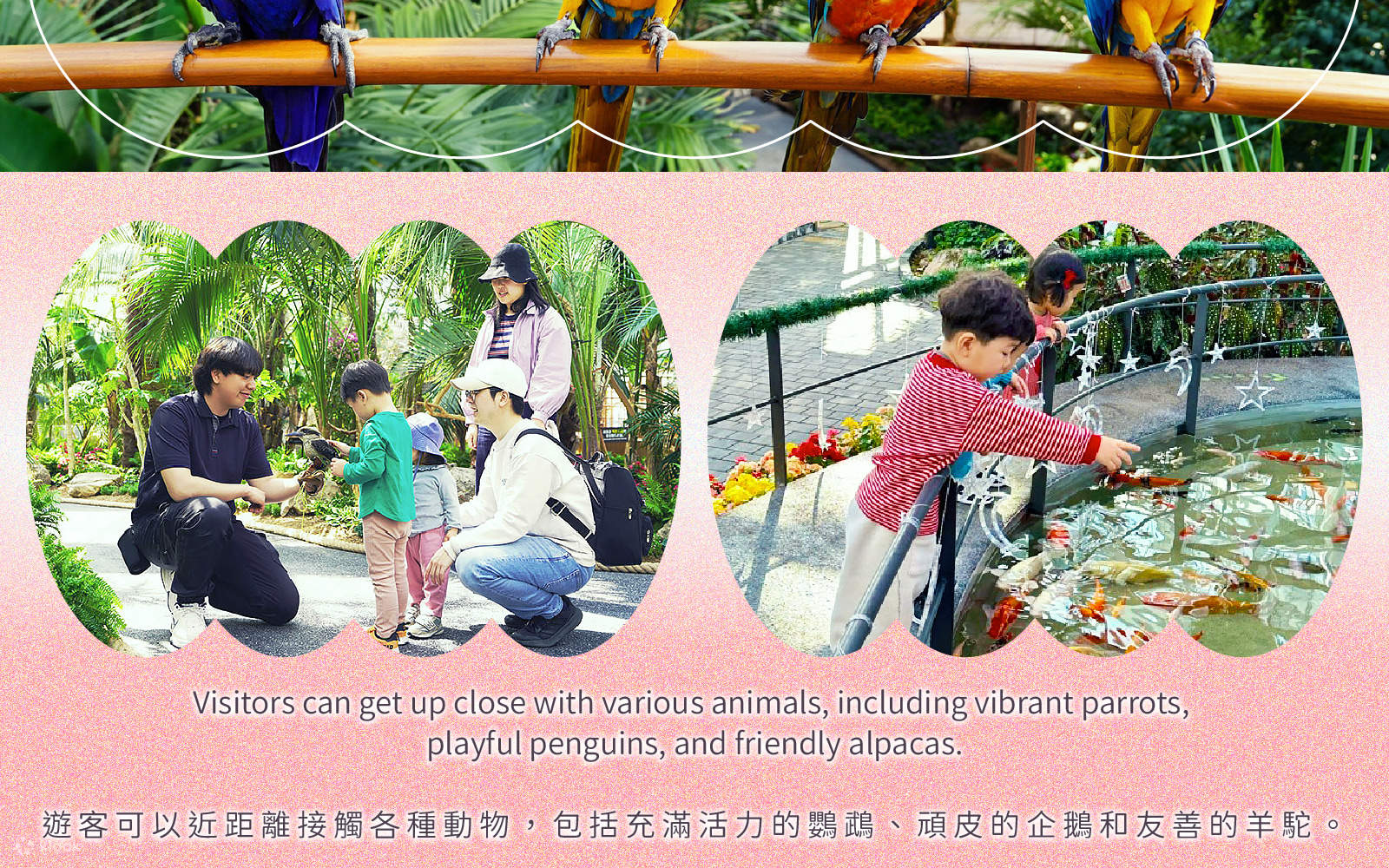 Eden Cherry Blossom Road x AQUAFIELD Jjimjilbang x Begonia Bird Park - Klook