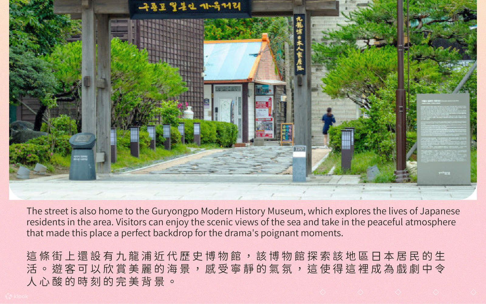 Pohang Space Walk x Cherry Blossom, Guryongpo, Homigot Canola Flower ...