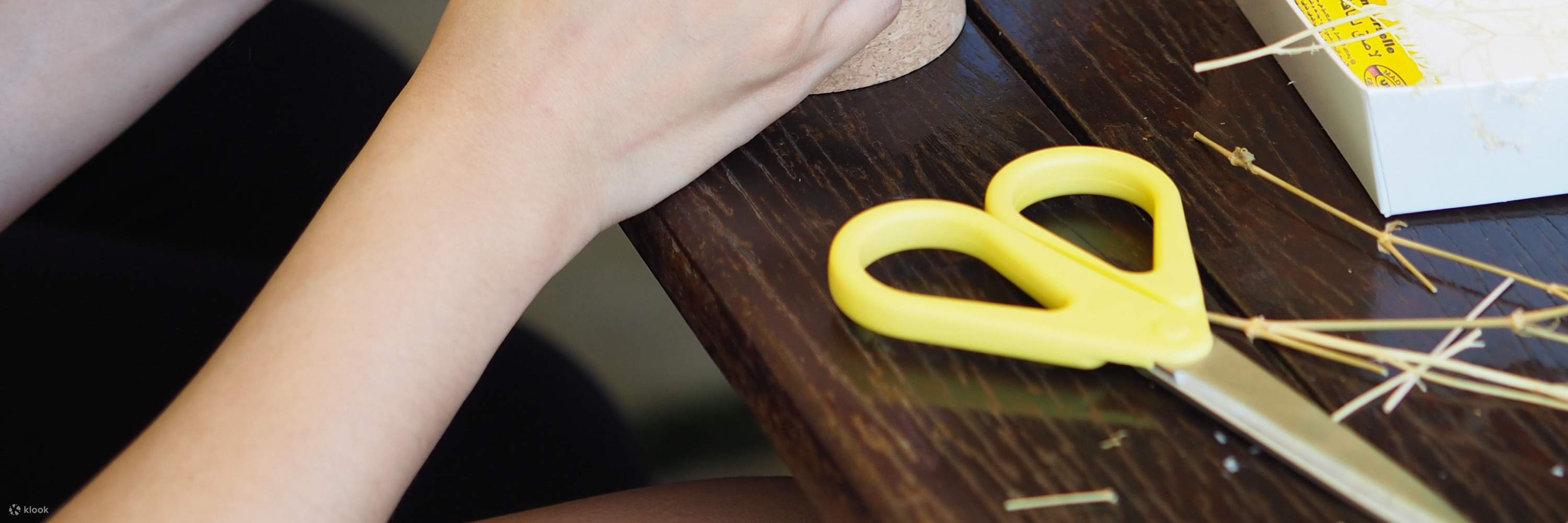 Preserved Flower Dome Workshop in Singapore by J2 Terrarium - 클룩 KLOOK 한국