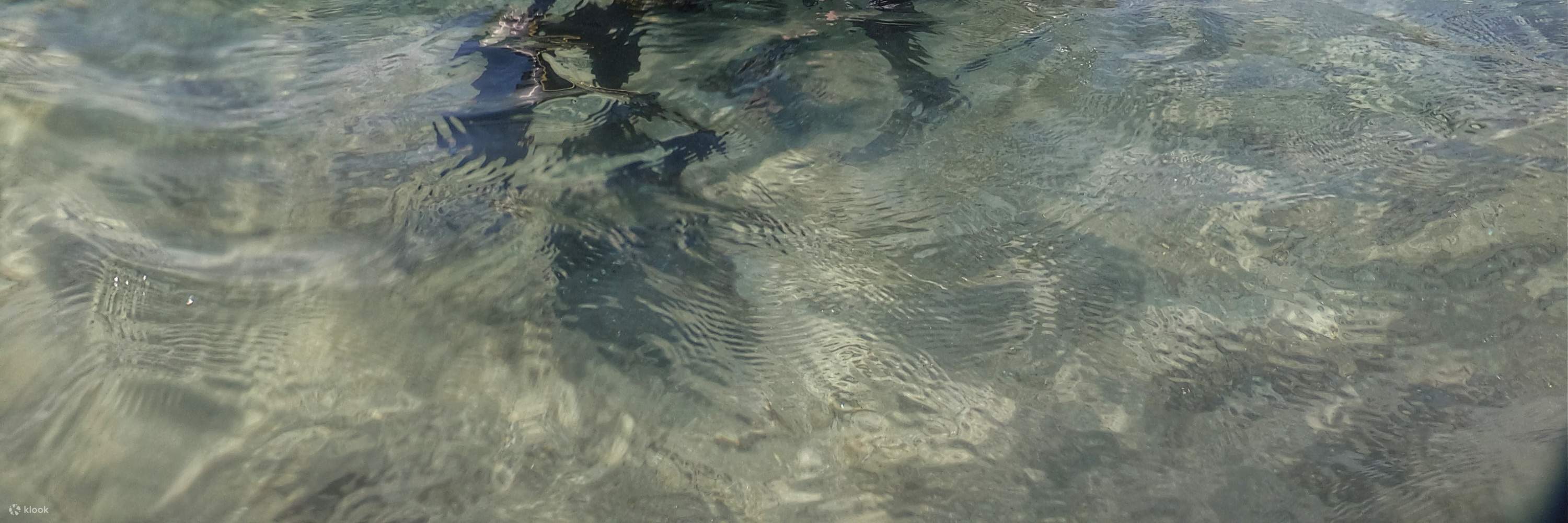 Xiaoliuqiu Snorkeling: Poseidon Ocean Sports Club - Snorkeling ...