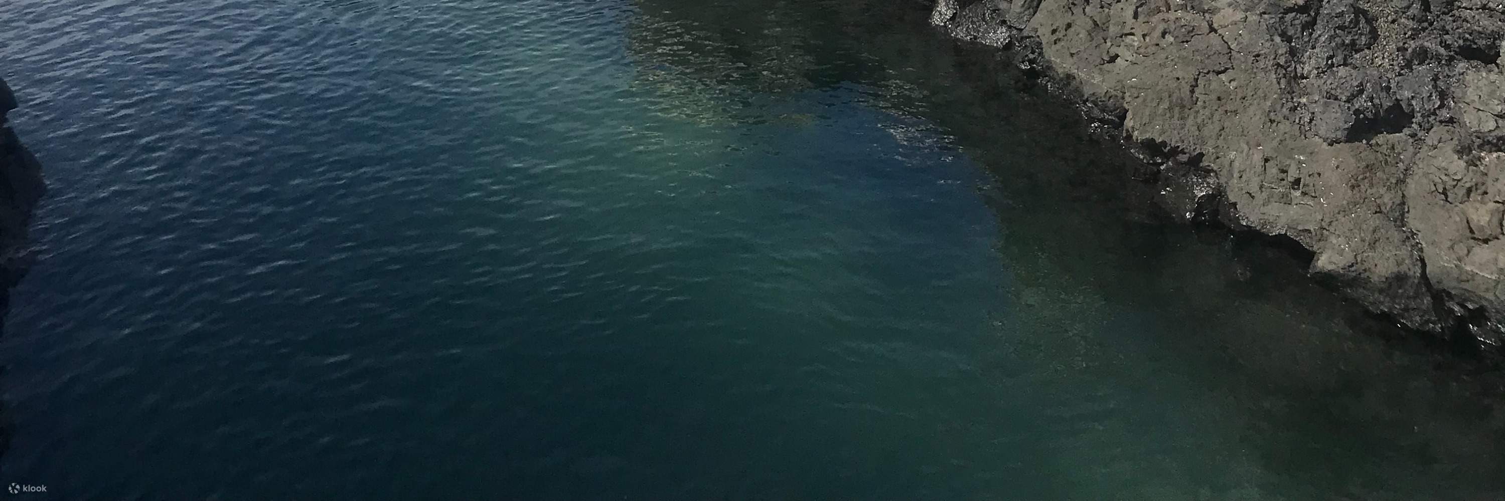 From Islabela Island Tintoreras Bay Boat Tour - Klook Hong Kong