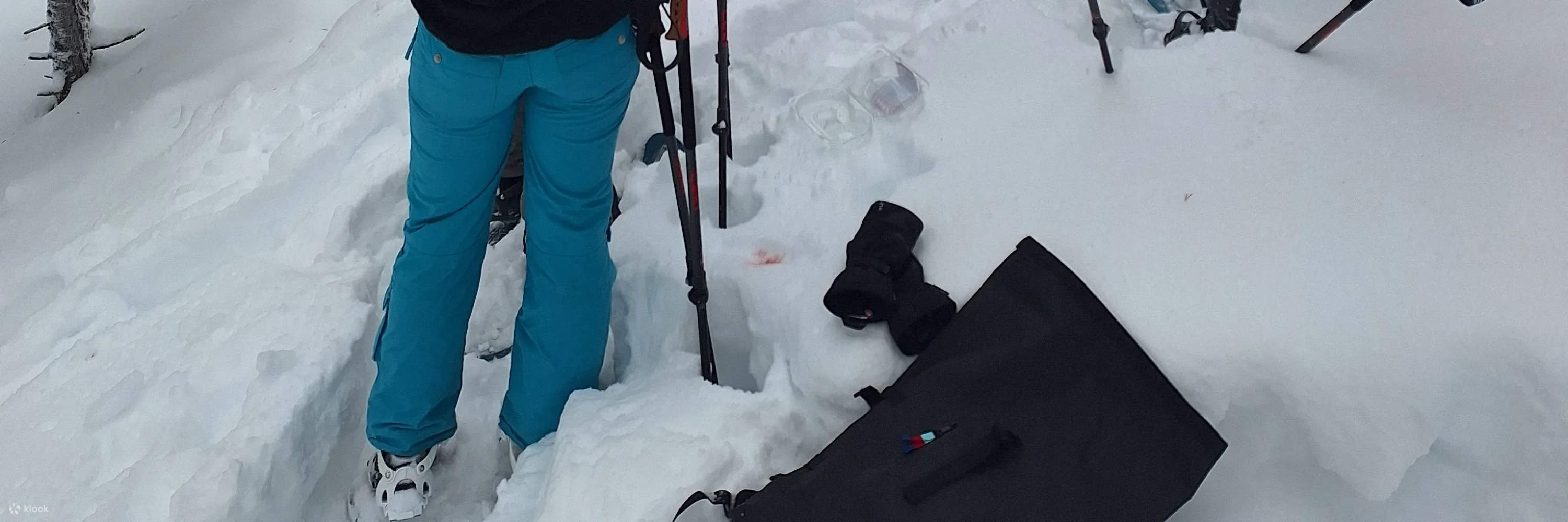 Nordic Nature: Two-Hour Snowshoeing by Lake Inari - Klook