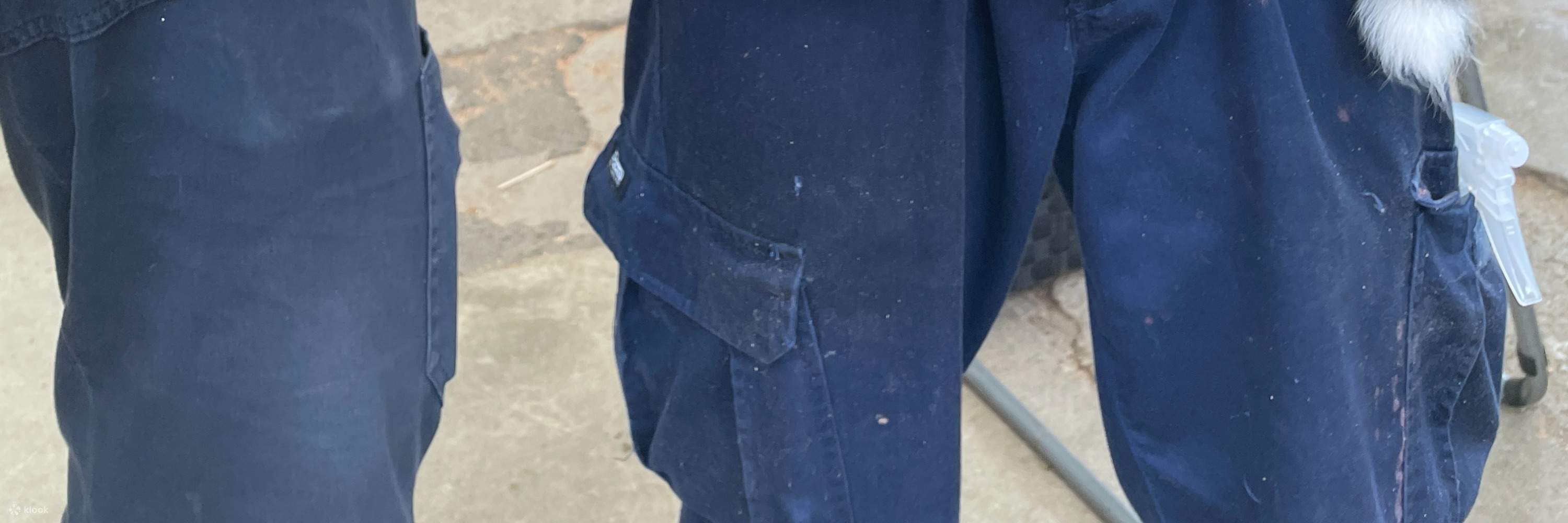 Zao Fox village 1Day Bus Tour with Strawberry picking - Klook