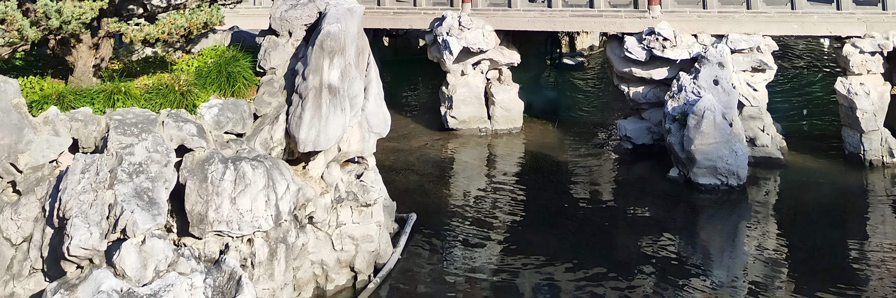 Shanghai Yu Garden Professional Guide + Chinese Tea Experience Tour ...