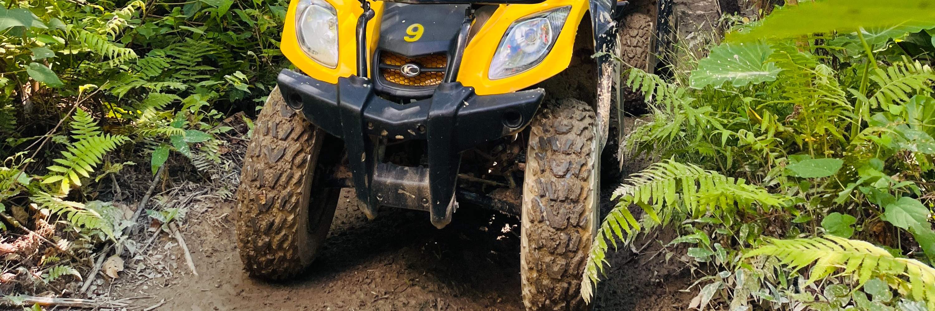 Ultimate Jungle Exploration Course: 60-minute Buggy Experience - Klook