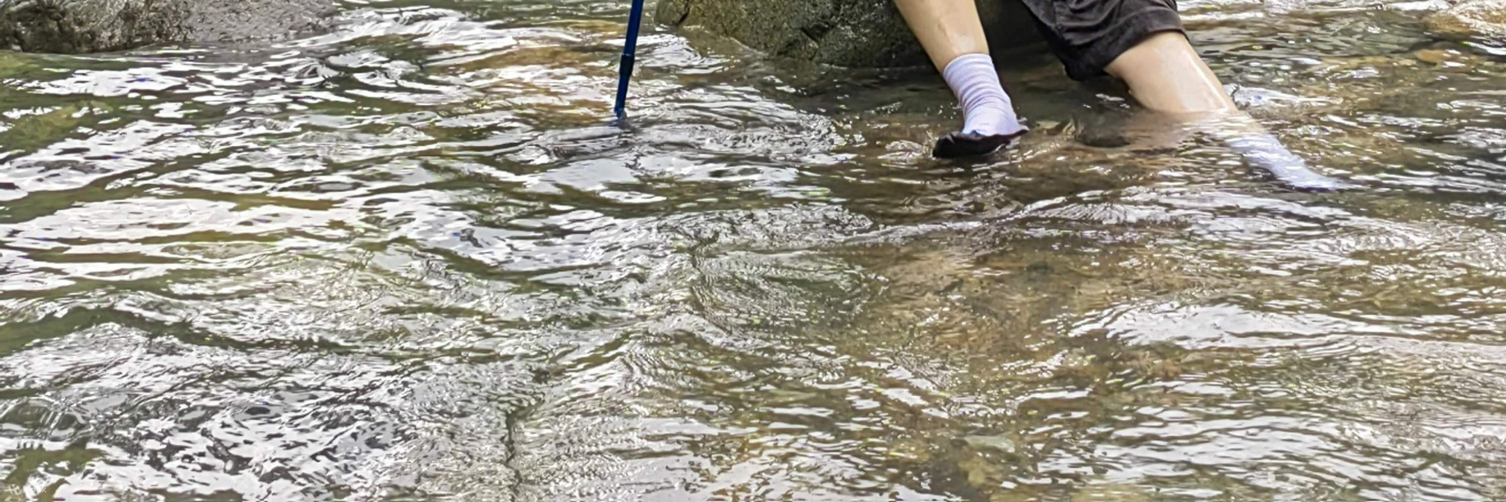 The Best Trekking Bogor Adventure to 5 Waterfalls (Start from Jakarta ...