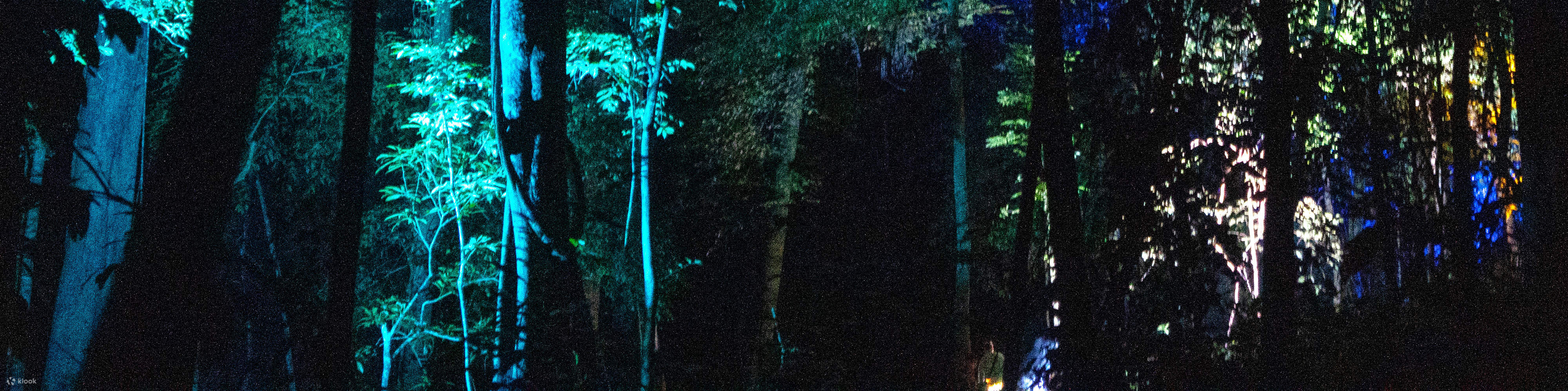 Dream Forest Langkawi Ticket - Klook Singapore