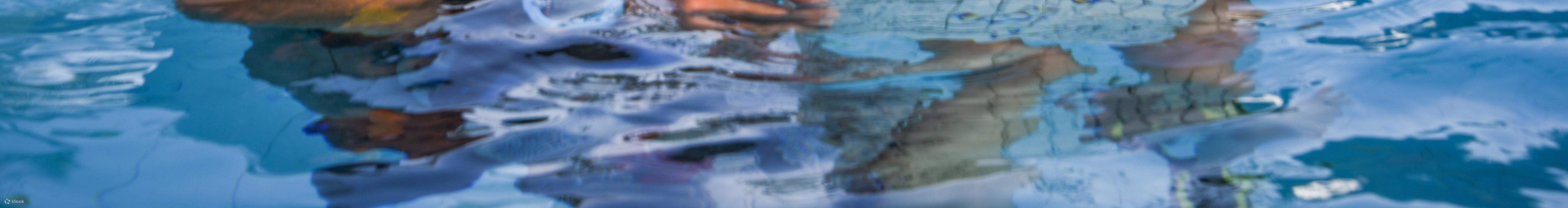 Learn Open Water Diver in Negros at PADI 5 Star IDC Resort - Klook ...