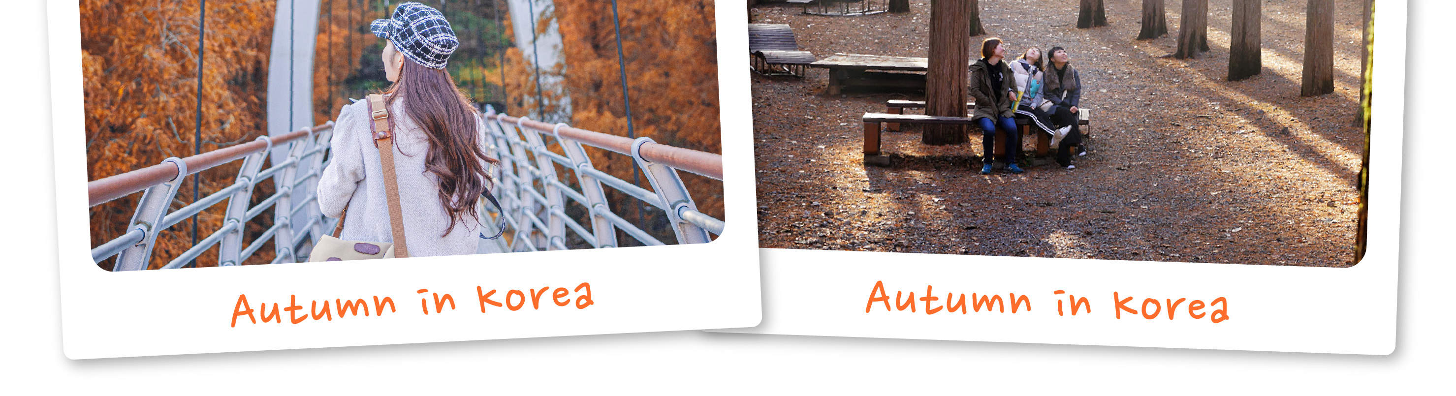 Jangtaesan Autumn Foliage One Day Tour from Seoul - Klook Singapore