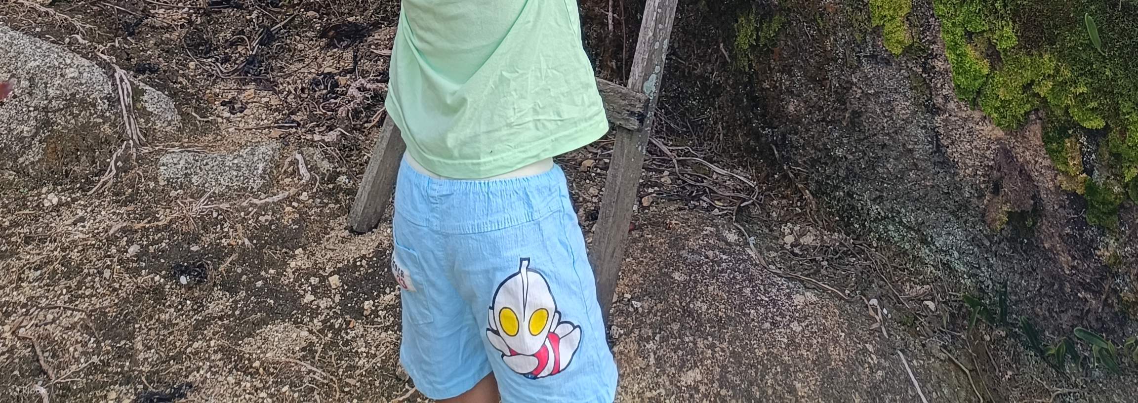 Jim's Vegetable Farm Ticket in Cameron Highlands - Klook United Kingdom