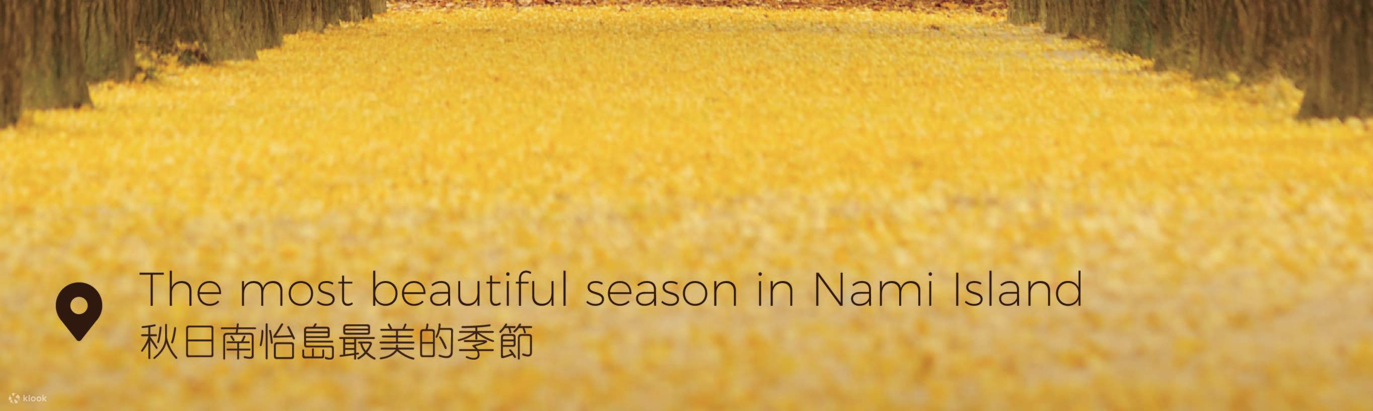 Nami Island & Eobi Ice Valley & Panorama Field & Morning Calm Tour - Klook