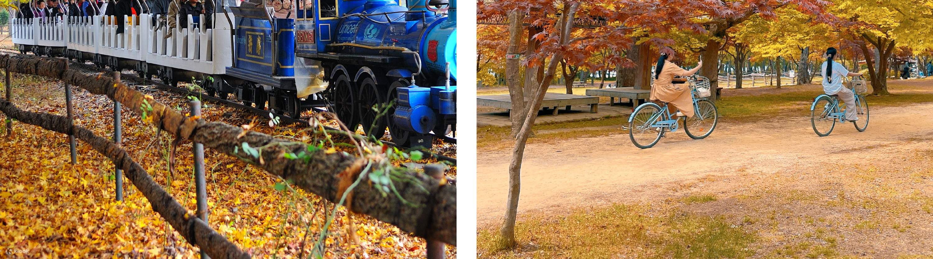 Pulau Nami & Pagi yang tenang & Lapangan Panorama Chowon yang Bahagia ...