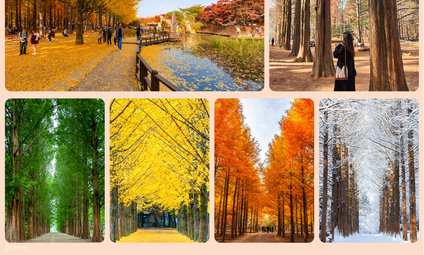 Eobi Ice Valley & Nami & Garden Light Festival & Alpaca & Railbike ...