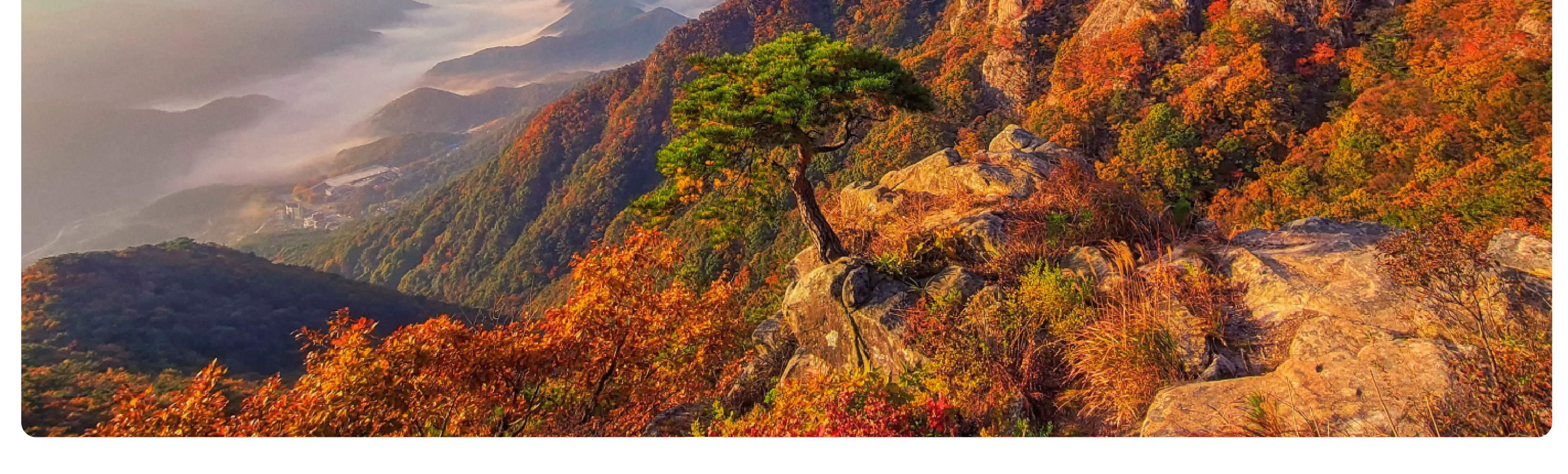 Daedunsan Autumn Maple Day Tour from Seoul - Klook Malaysia