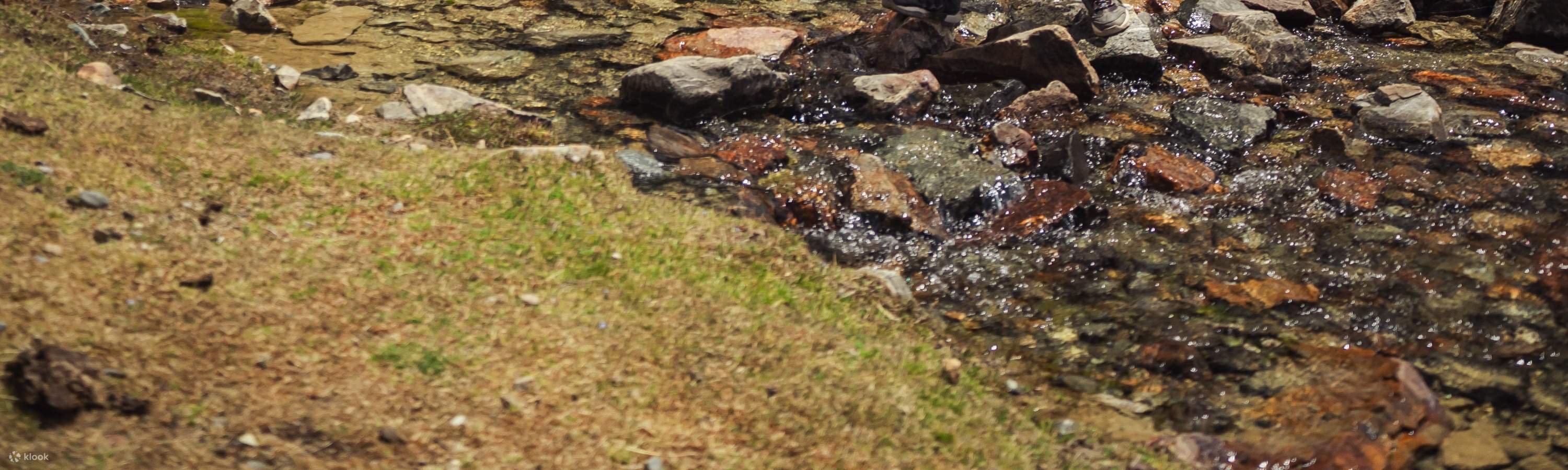 Explore the Stunning Beauty of Humantay Lake on a Day Trip from Cusco ...