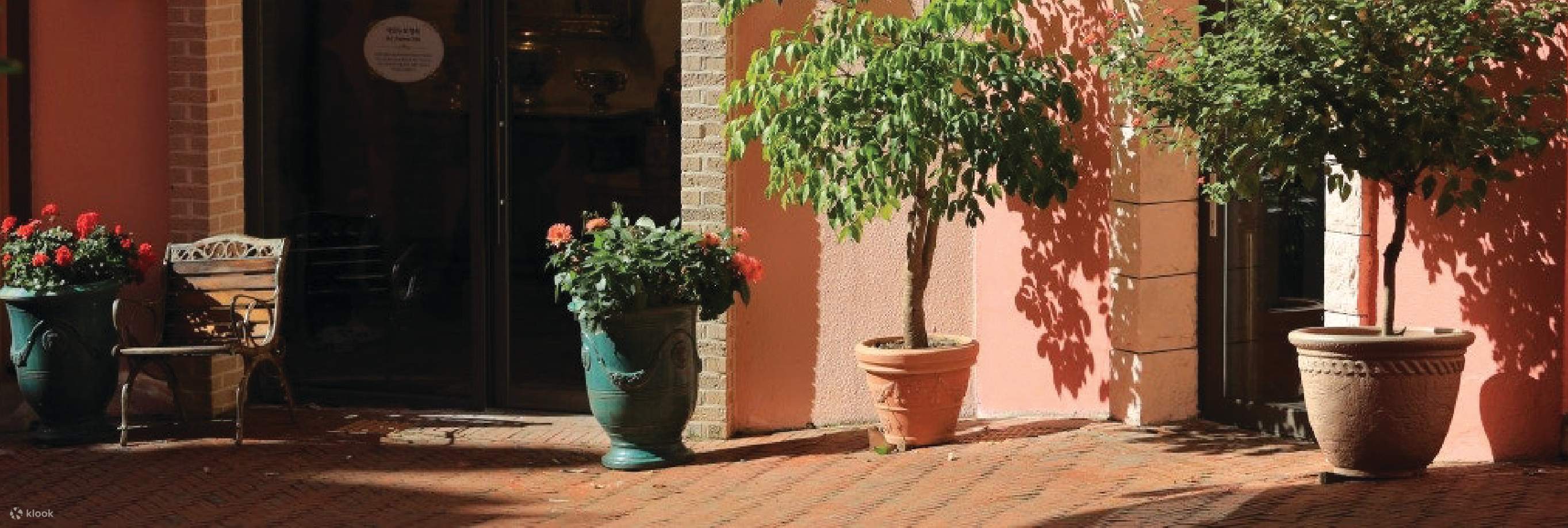 Nami Island & Eobi Ice Valley & Panorama Field & Morning Calm Tour ...