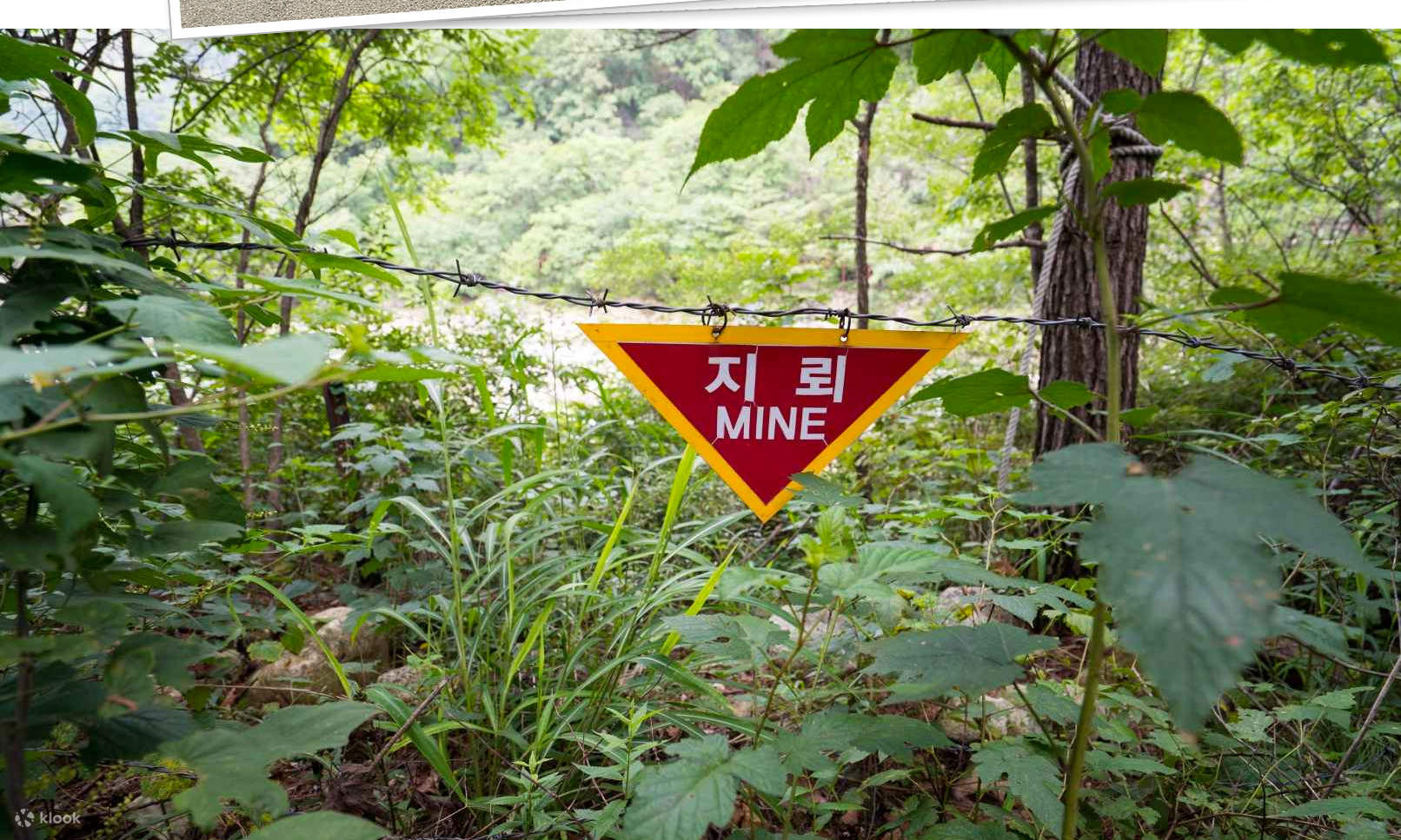 Korea DMZ (Demilitarized Zone) Drama Filming Location One Day Tour - Klook