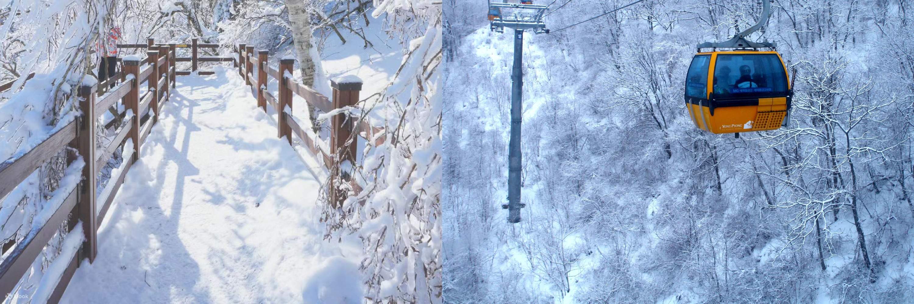 Balwangsan Cable Car & Samyang Ranch One Day Tour from Seoul - Klook