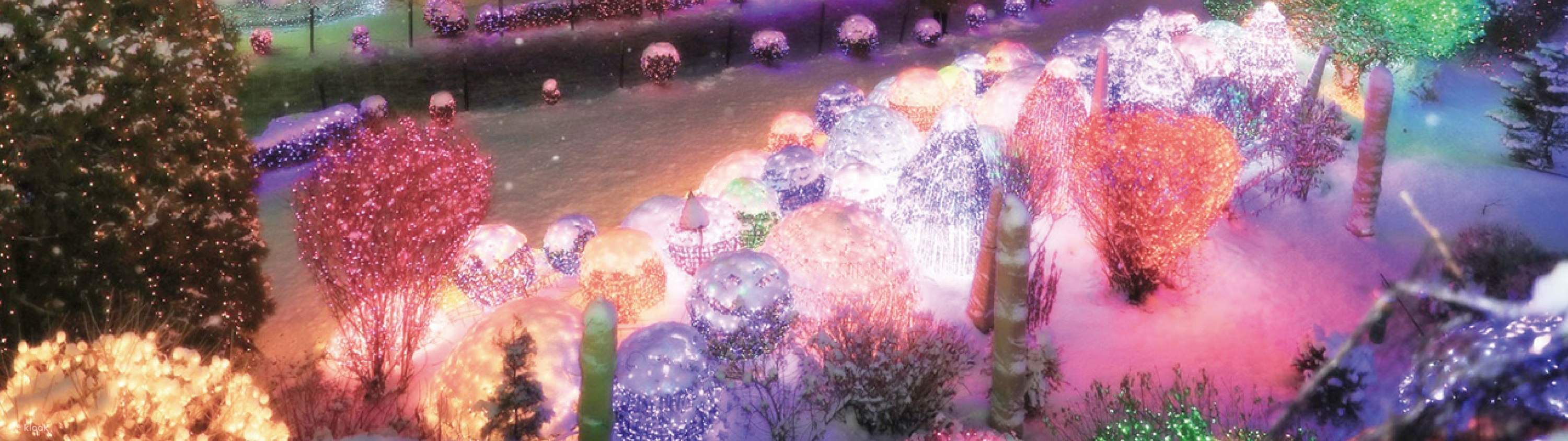 Nami Island & Eobi Ice Valley & Panorama Field & Morning Calm Tour - Klook