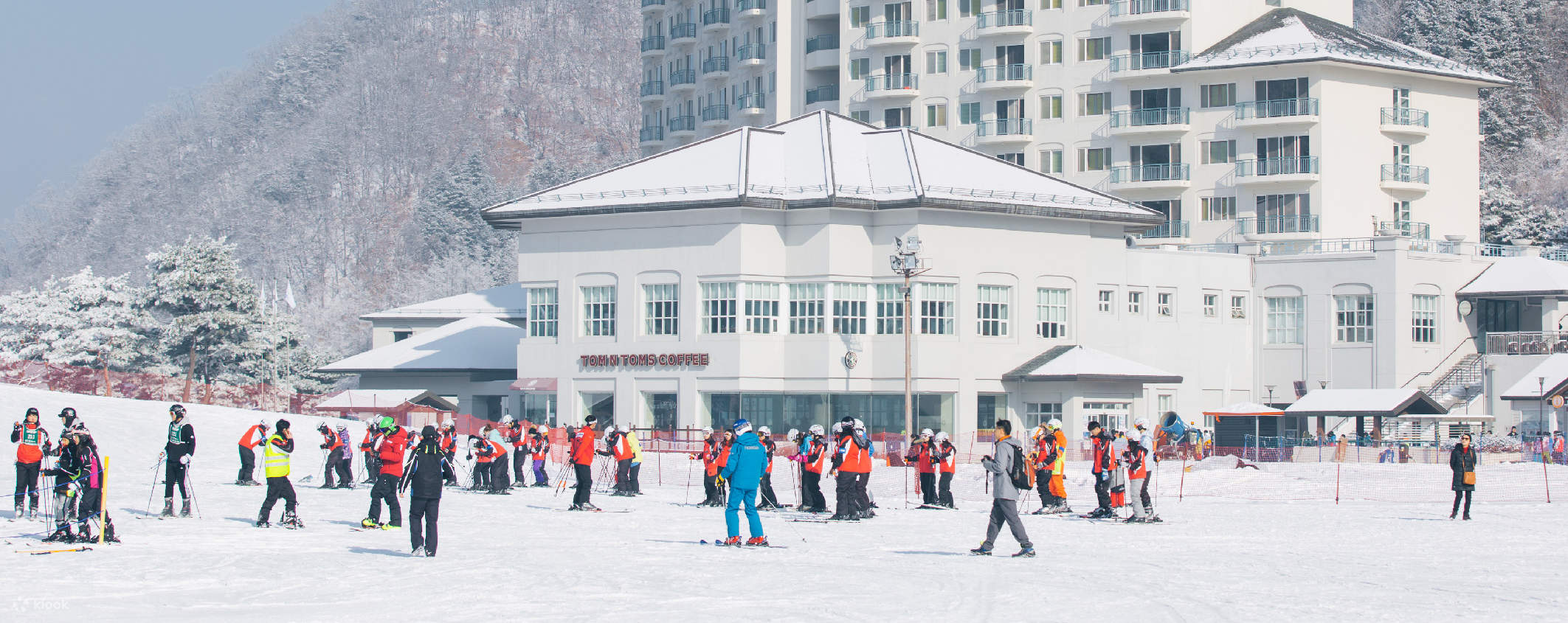 Elysian Gangchon Ski Resort Day Tour from Gangwon-do (KTOURSTORY ...