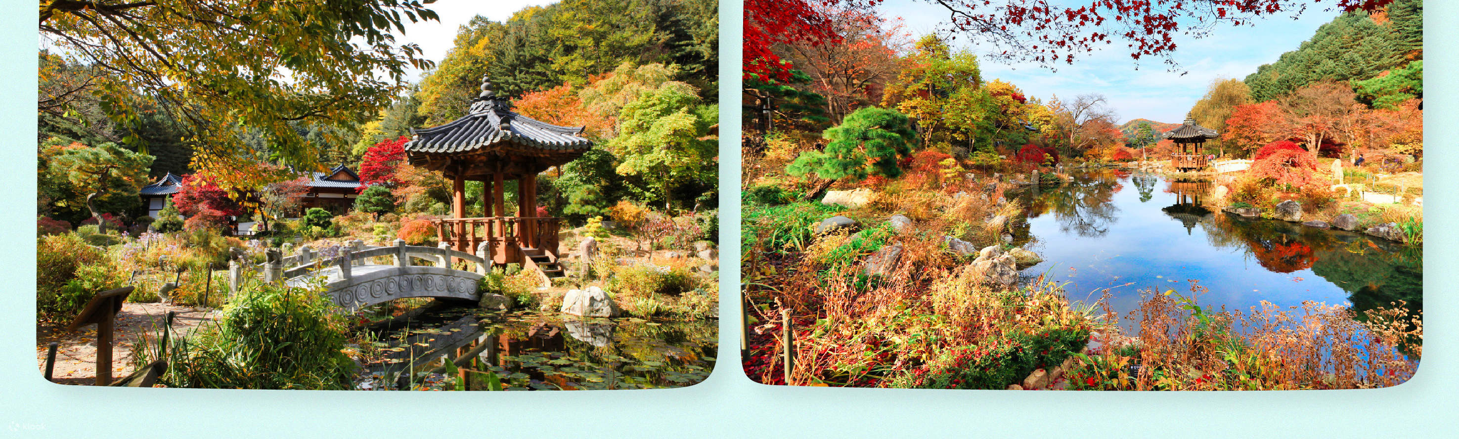 Pocheon Art Valley & Strawberry farm & Herb Island Illuminating ...