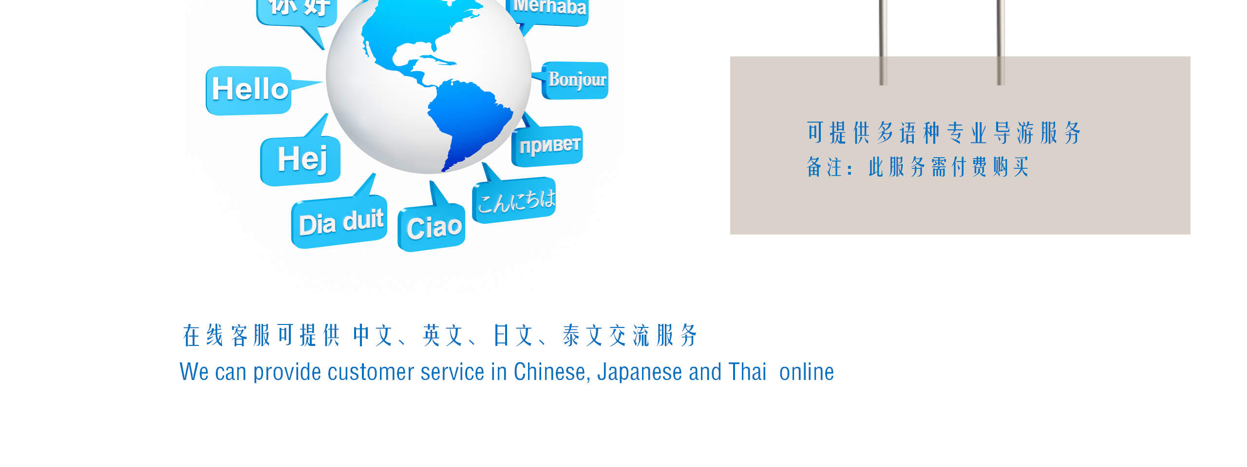 One-day tour to Chengdu Giant Panda Base - Klook