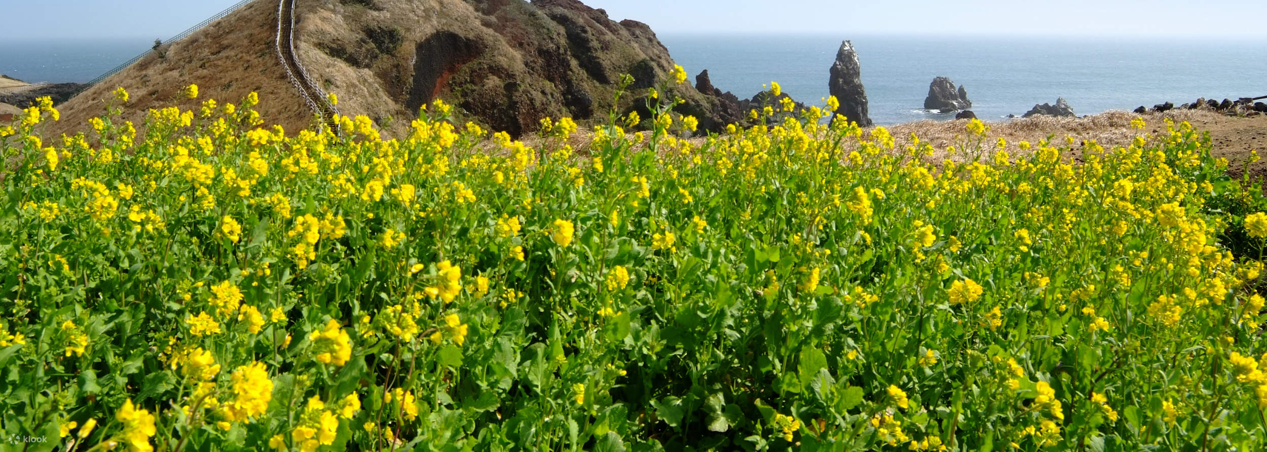 K-DRAMA Tour in Jeju island - Klook Malaysia