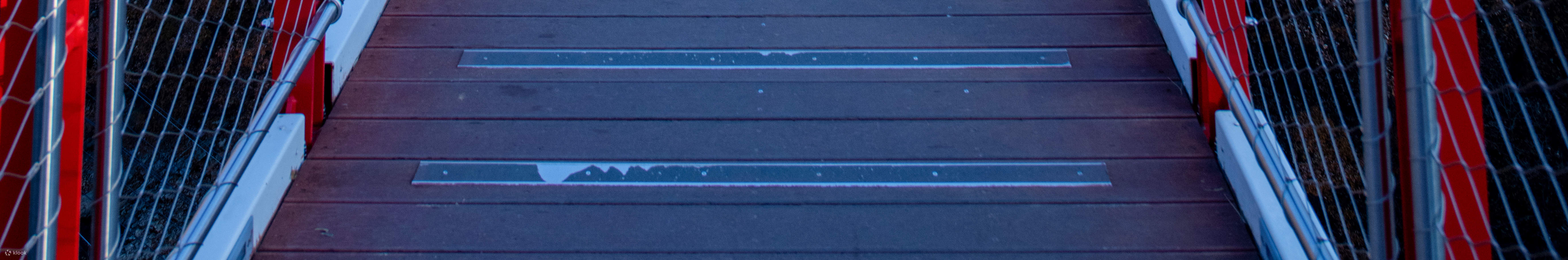 DMZ Half Day Guided Tour from Seoul - Klook