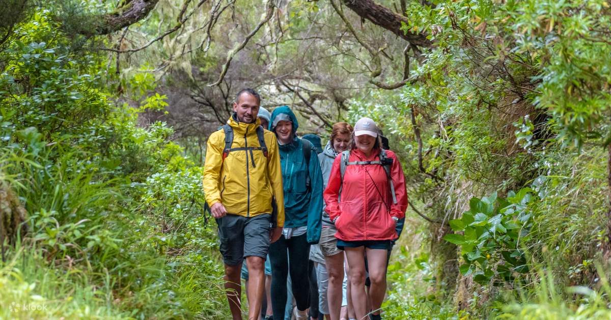 Discover Nature's Beauty: Rabaçal 25 Fountains Levada Walk & Skywalk in ...