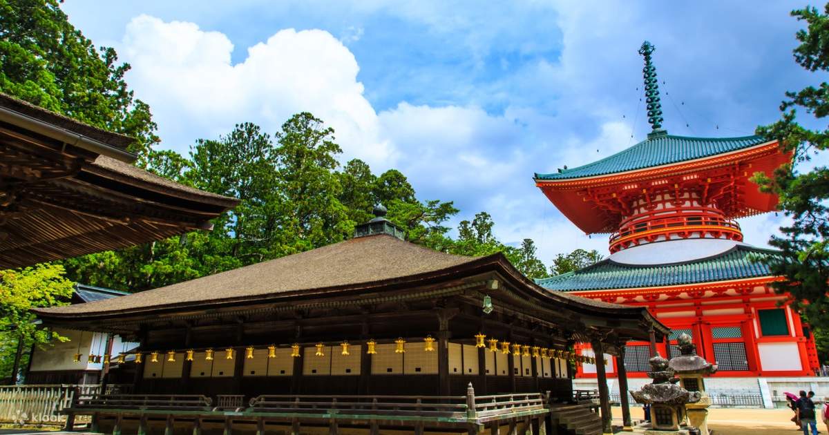 Mount Koya & Wakayama Castle Customizable Private Tour - Klook