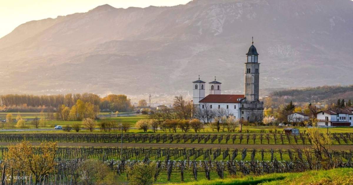 Vipava Valley half-day wine tasting tour from Ljubljana - Klook United ...